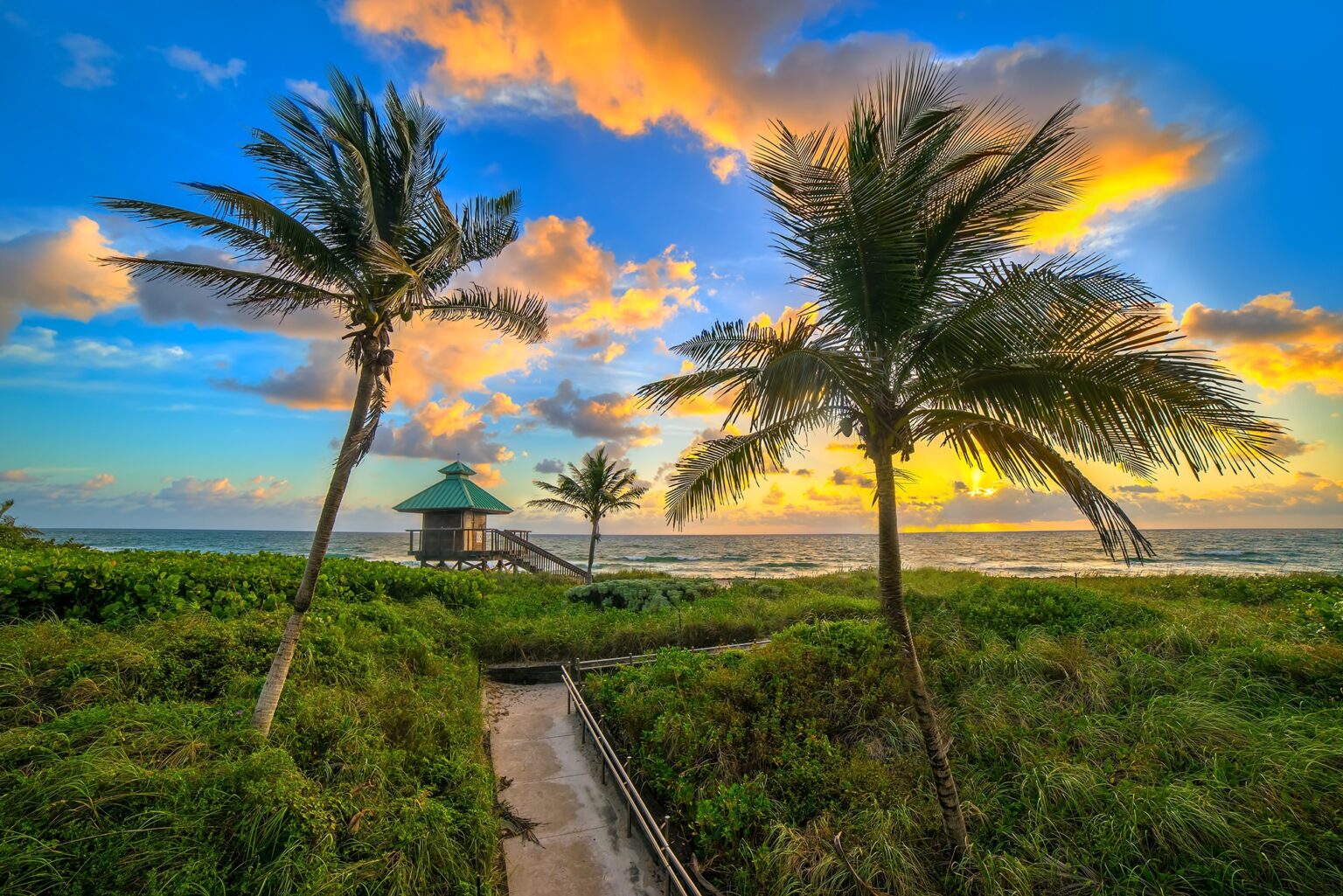 Introductory training workshop | Boca Raton, FL - Dance for PD